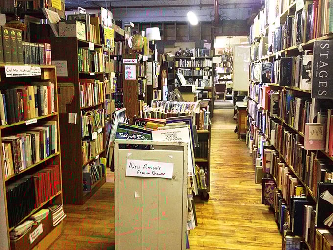 New arrivals? More like new obsessions! These fresh finds are ready to jump off the shelf and into your heart.