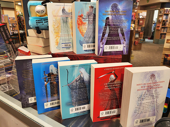 A rainbow of reads! These book spines create a literary color palette that's as pleasing to the eye as the stories are to the mind.