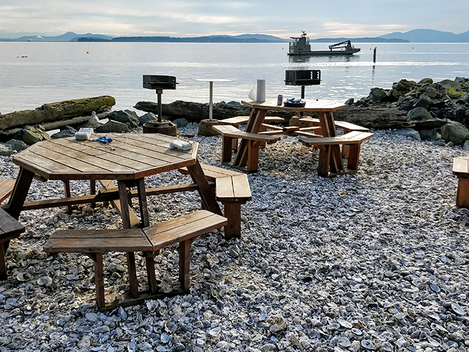 Dining with a view? More like dining IN the view. These picnic tables are front-row seats to Mother Nature's greatest hits.