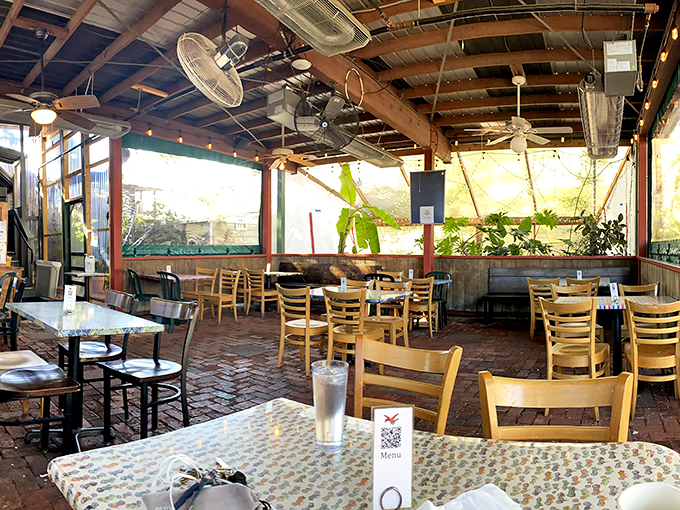 Patio perfection! This charming outdoor space at Magnolia Cafe is where memories are made, one bite at a time. Just watch out for breakfast-stealing squirrels!