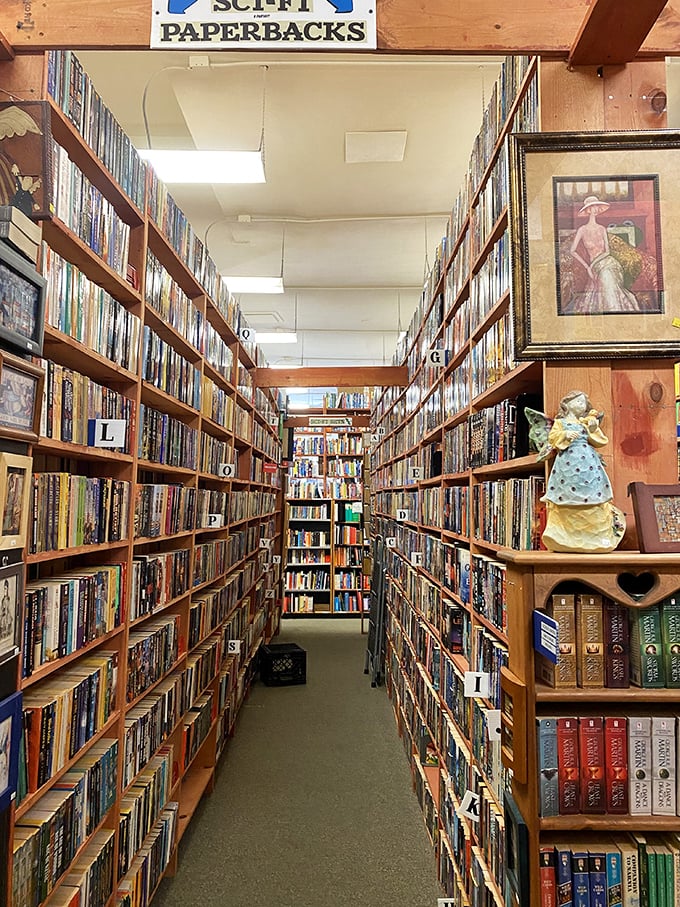 Stairway to heaven or ladder to knowledge? Either way, this wooden wonder is your ticket to reaching those hard-to-get literary treasures.