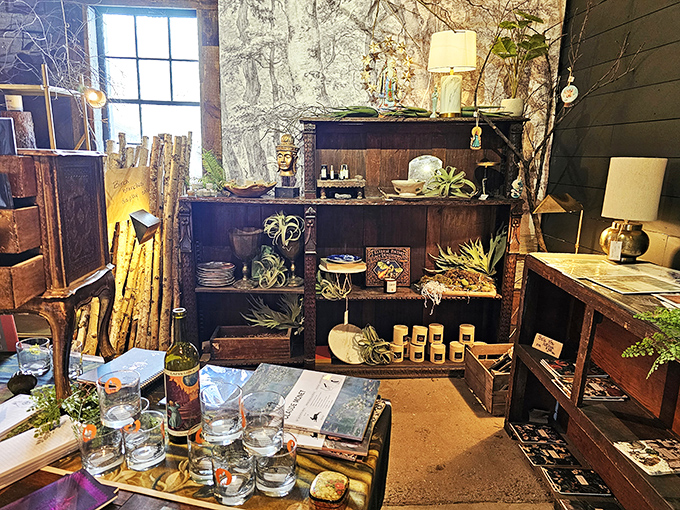 Shelfie heaven! Each nook and cranny tells a story. It's like "Where's Waldo?" for antique enthusiasts.