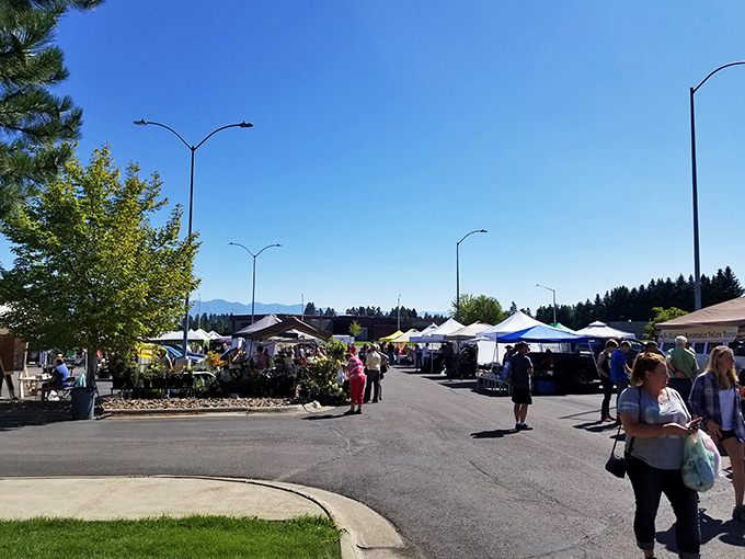 Where the mountains meet the market. It's like Mother Nature decided to do some shopping too!