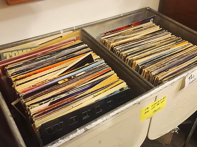 Vinyl treasures await their next spin. Dust off that record player and get ready to boogie like it's 1979.