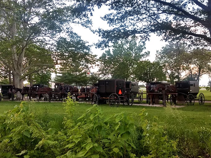 Giddy up! Arthur's Amish buggies lined up like a time-traveling taxi stand. Who needs Uber when you've got horsepower?