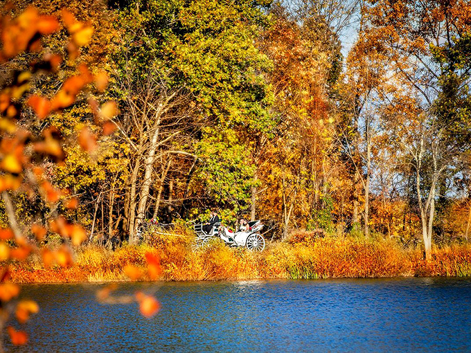 Autumn in Gettysburg: Where the trees put on a show that rivals Broadway, and every leaf is vying for a standing ovation.