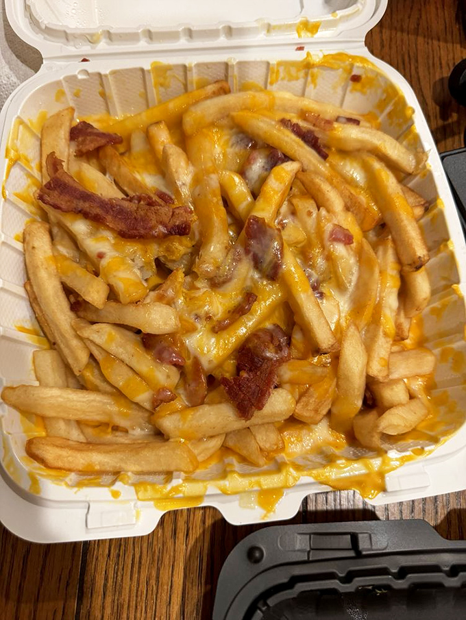 Fries living their best life! These bacon cheese fries are what regular fries dream of becoming when they grow up.