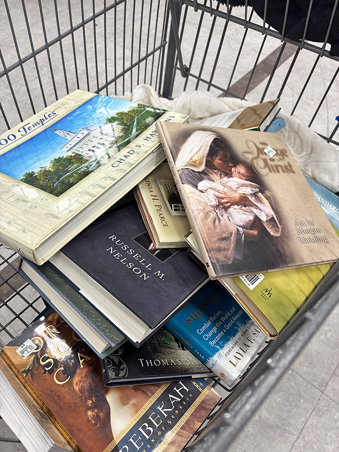 A literary feast for the eyes! From bodice-rippers to brain-teasers, there's a page-turner for every taste.