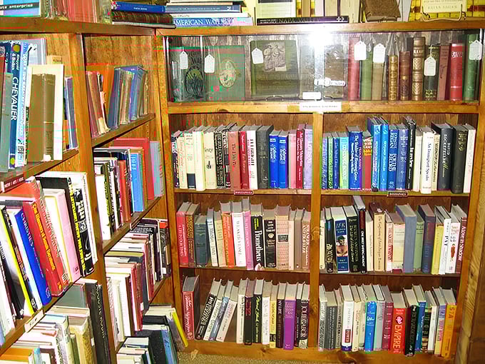 Bookworm's paradise! These shelves aren't just full of stories; they're portals to worlds both familiar and forgotten, waiting to be rediscovered.