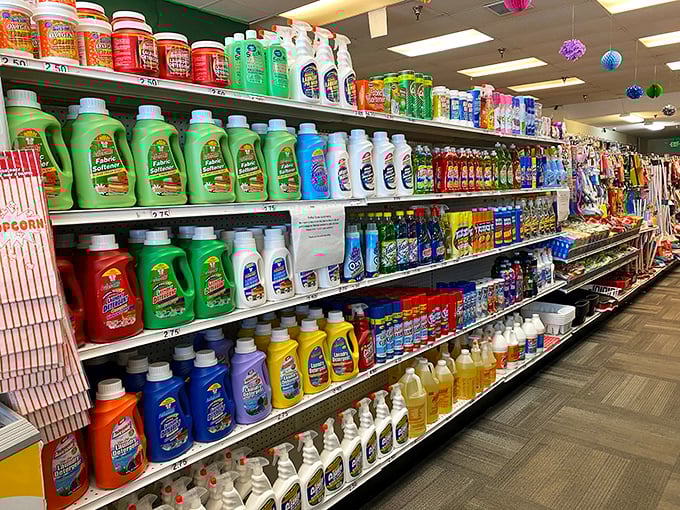 Cleaning supply rainbow that makes adulting slightly less painful. Even the most stubborn Alaskan mud stains meet their match here.