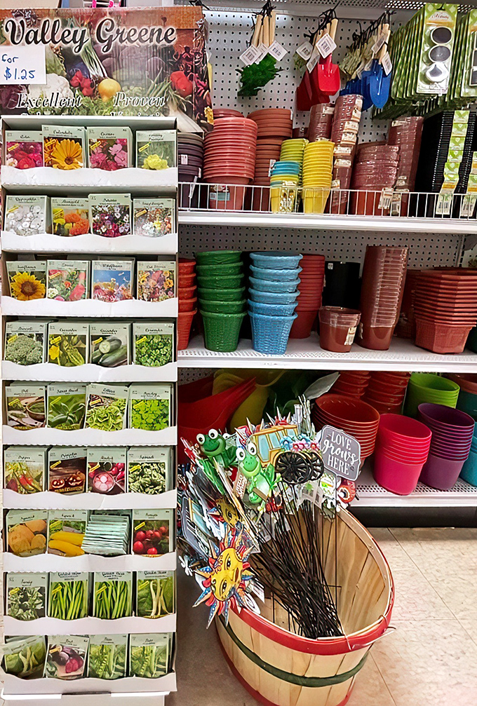 Valley Greene seed packets for just $1.25? Gardeners rejoice! Spring dreams germinate here alongside practical tools for bringing them to life.