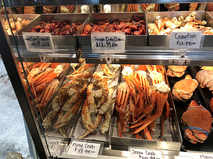 Seafood shopping has never looked so good! This display case is like an aquatic jewelry box, filled with oceanic treasures.
