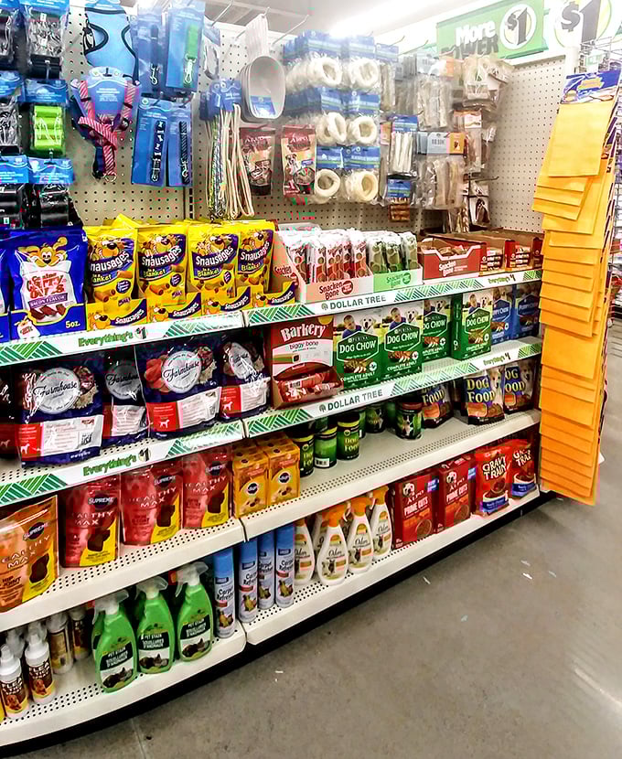 Even four-legged family members get budget-friendly options. Pets don't care about price tags, just the love behind the purchase.