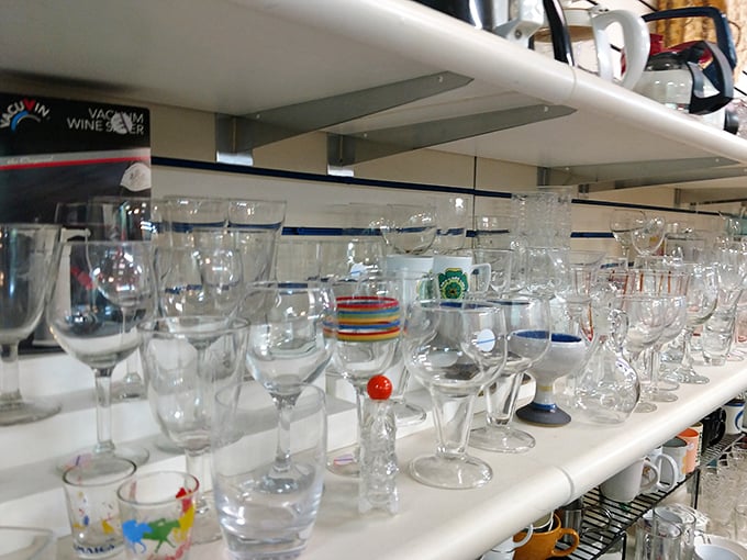 Cheers to second chances! This sparkling array of glassware is ready to toast your thrifting triumphs in style.