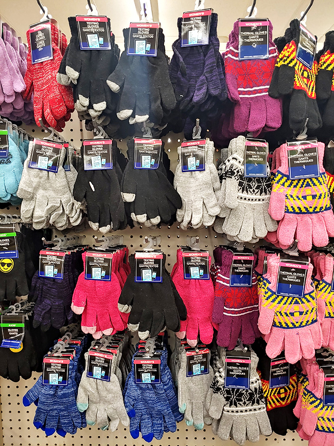 Hands down, the best deal on warmth! These gloves are ready to take on winter – or at least a chilly day at the dollar store.