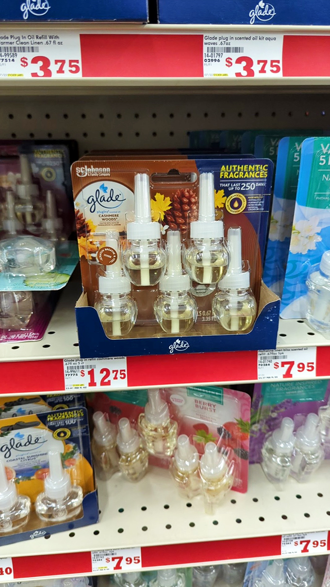 Glade plug-ins that transform your home from "eau de dog" to "cashmere woods" for less than a fancy coffee.