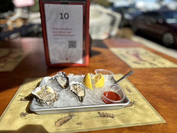 Oysters on ice, looking oh-so-nice! These briny beauties are like nature's shot glasses, filled with the essence of the sea.