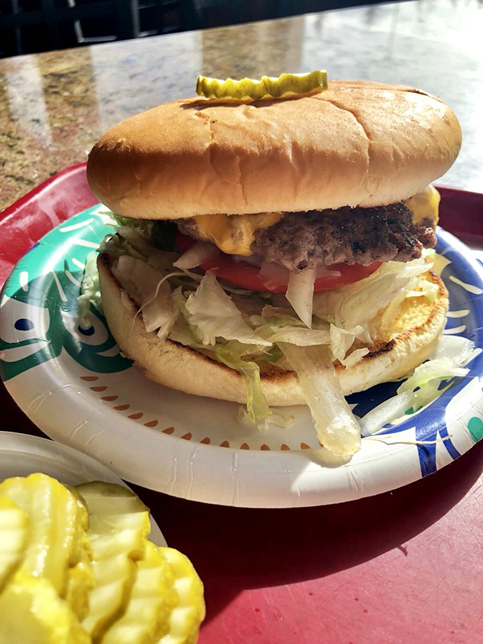 Say cheese and smile! The Arctic Cheeseburger is ready for its close-up, and your stomach is ready for its starring role.
