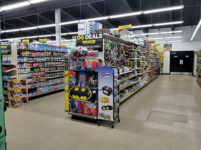 DIY dreams come true! This gadget gallery has more problem-solving potential than a season of MacGyver reruns.