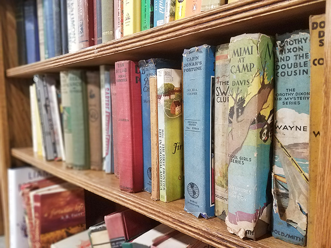Bookworms, rejoice! This literary treasure trove is where forgotten tales find new readers. Your next favorite story is hiding on these shelves.