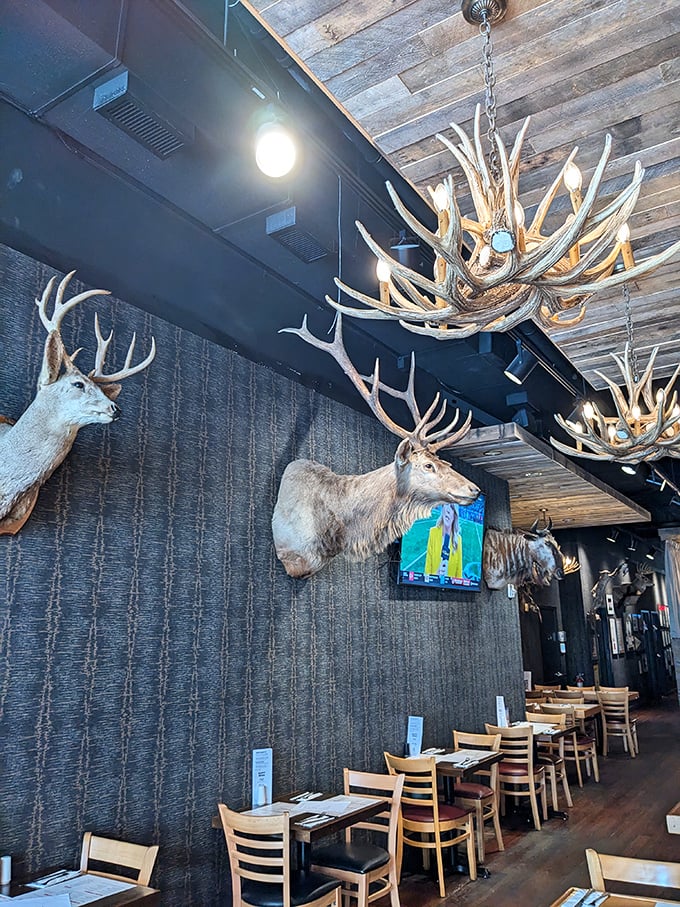 With decor this wild, who needs a trip to the zoo? The mounted animals on the wall are having a party, and you're invited!