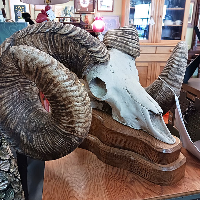 From kitschy to classy, this decor section is a mood board for every style under the sun &ndash; or should we say, under the vintage chandelier?