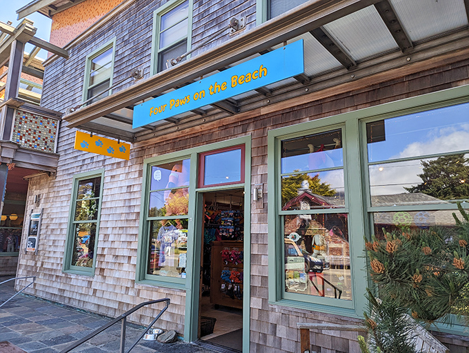 Four Paws on the Beach proves Manzanita understands a fundamental truth: vacation isn't complete without spoiling your four-legged family members.