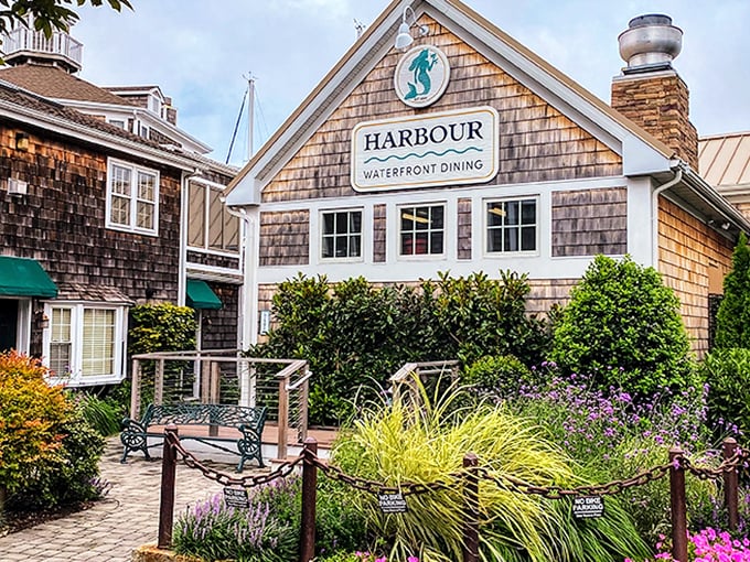 Harbour Restaurant's cedar shingles and meticulous gardens create seaside charm without trying too hard. Waterfront dining here feels like being invited to a local's secret spot.