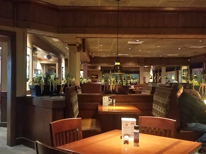 Dive into comfort! This interior is like a warm hug from a friendly octopus - inviting, cozy, and full of hidden charms.