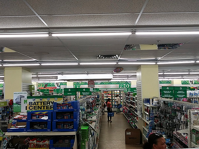 The Dollar Tree interior: where fluorescent lighting illuminates the path to budget salvation between neatly organized aisles.