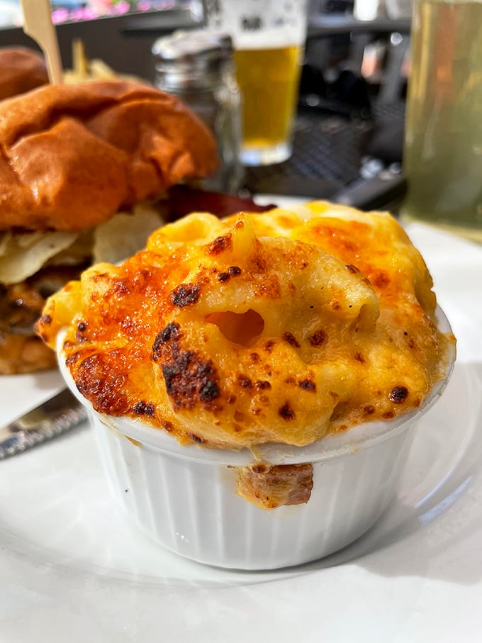 Mac and cheese elevated to art form. That golden crust deserves its own exhibition at the comfort food museum.