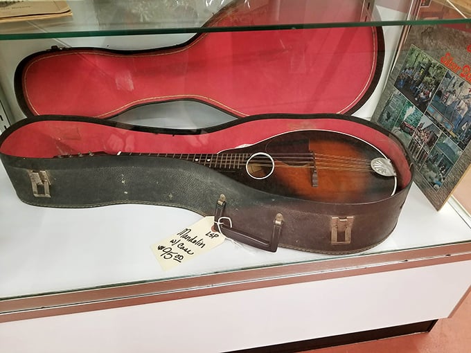 Strum a tune of yesteryear with this vintage mandolin. It's seen more picking than a guitar at a bluegrass festival!