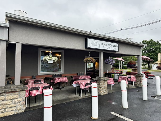 Outdoor seating that screams "picnic chic." Red-and-white checks invite you to biscuit and chill in style.