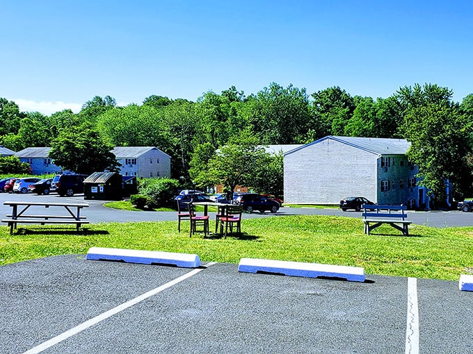 Al fresco feast! Enjoy your burger with a side of sunshine in this charming outdoor seating area. Just watch out for sneaky seagulls!