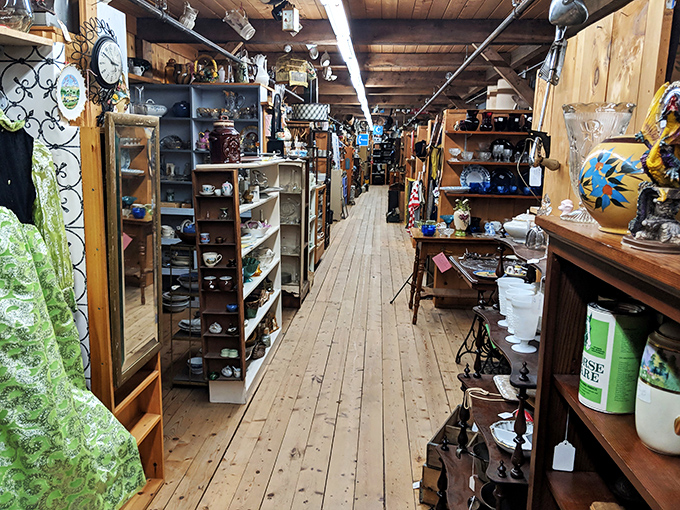 Wooden floors and warm lighting create intimate browsing aisles where vintage treasures wait patiently for their next adventure.