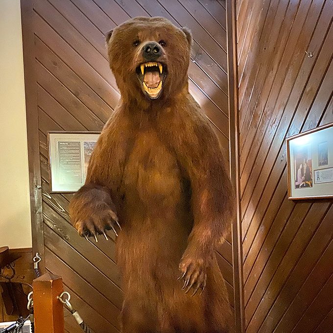 Meet the restaurant's unofficial greeter. He's got a bit of a grizzly disposition, but his bark is worse than his bite.