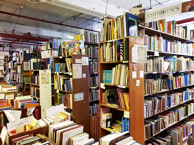 Where young imaginations take flight! This children's section is like Disneyland for little bookworms.