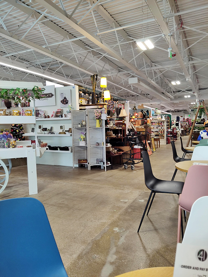 Shelves of possibility! Each item here is a potential heirloom, just waiting for the right person to give it a new story.