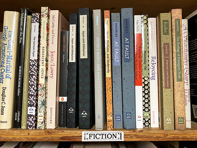 The fiction section: where reality takes a vacation and imagination runs wild. Choose your next adventure wisely!