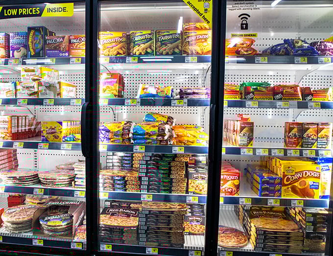 Frozen feast fiesta! These freezers are packed with enough quick meals to satisfy a hungry sitcom family for a month.