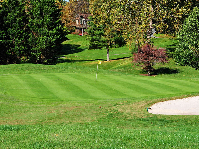Greens as far as the eye can see. This golf course is where business deals are sealed and friendships are forged, one swing at a time.