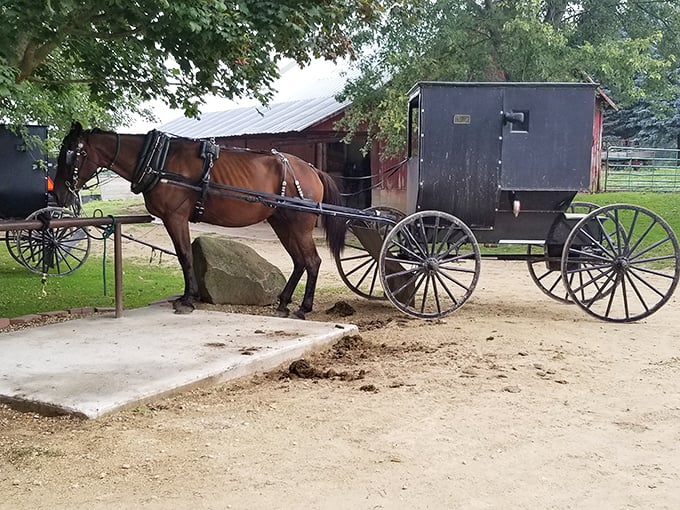 Giddy-up and get your goodies! This horse and buggy setup adds a dash of old-world charm to your pastry pilgrimage.