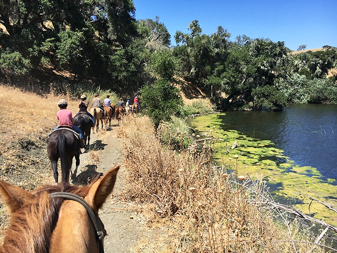 Giddy up, partner! Who knew horseback riding could be the perfect blend of Wild West and Danish charm?