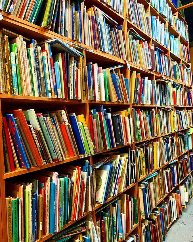 A feast for the eyes! These illustrated books prove that sometimes, a picture really is worth a thousand words.