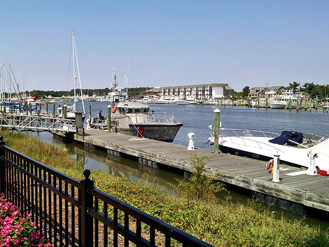Marina musings: A symphony of masts, sails, and gentle waves. It's enough to make even landlubbers dream of life at sea.