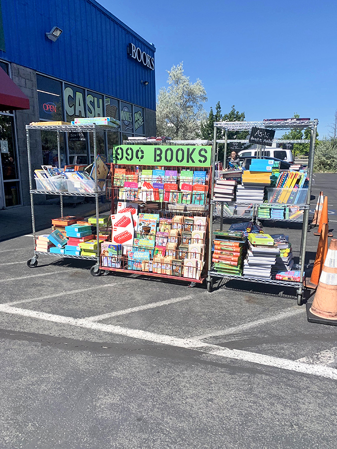 Bargain hunters, rejoice! These outdoor book carts are where wallet-friendly meets page-turning fun. It's a bibliophile's treasure hunt.