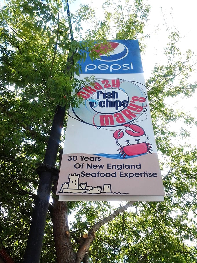 Thirty years of New England expertise... in Montana? It's not a fish out of water story, it's a delicious plot twist!