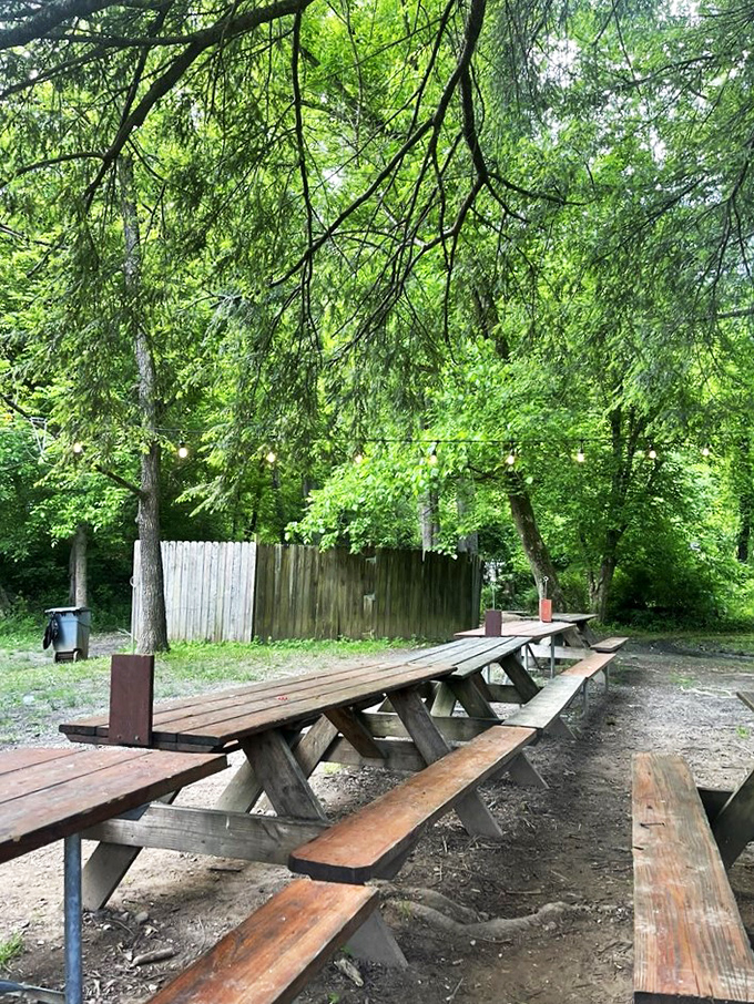 Nature's dining room. These picnic tables have witnessed more climbing stories and pizza-induced food comas than we can count.