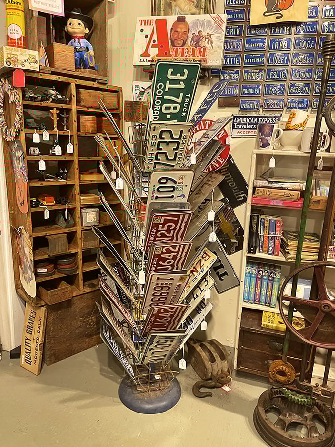 "License plate lottery! Pick your favorite and imagine the road trips it's seen. Route 66, anyone?"