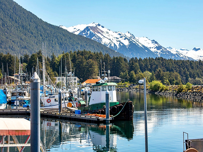 Sitka's harbor: Where boats bob like apples in a watery barrel, surrounded by nature's own IMAX screen.